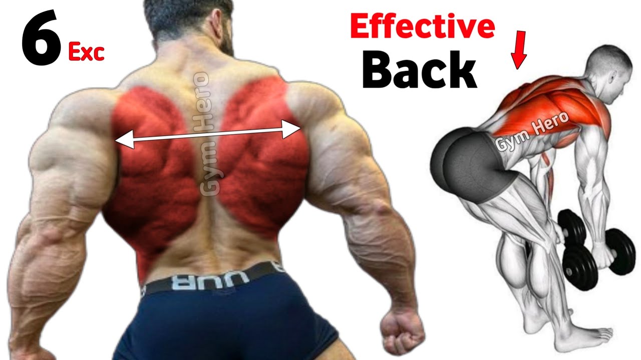 Effective Back Workout At Gym ( 6 Best Exercises ) - YouTube