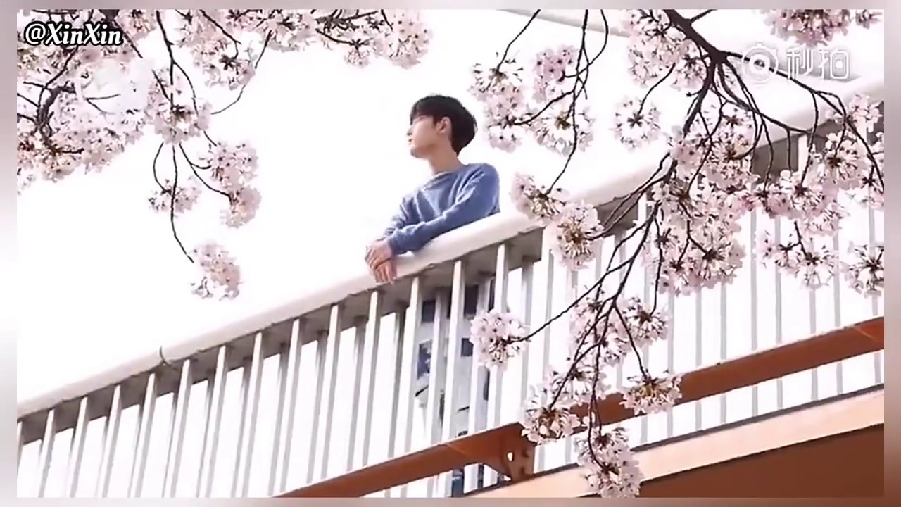 [Engsub | 180527] 肖战 Xiao Zhan - BTS Signal MV in Osaka - YouTube