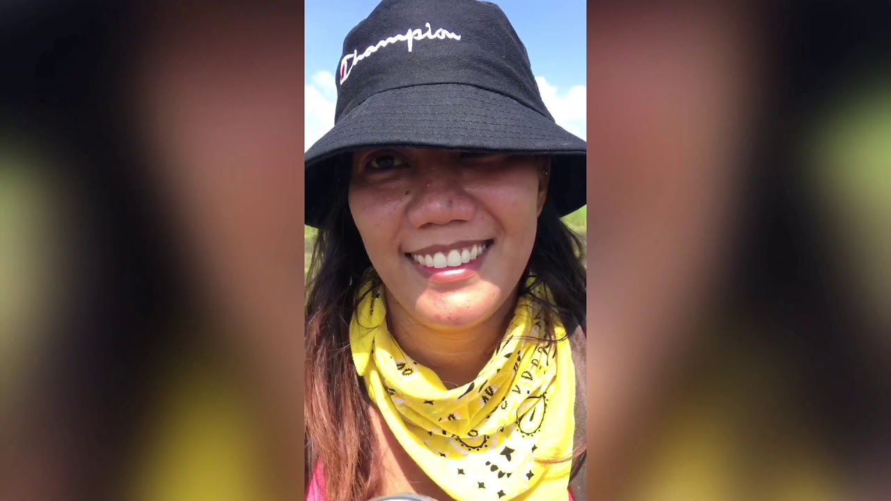 Ararawan hunting (mole cricket/kamaru insect) - YouTube