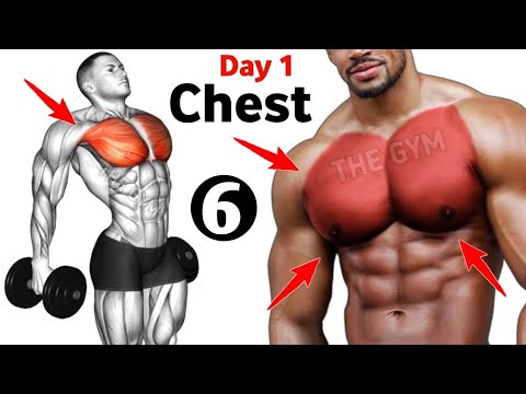 6 best effective chest workout to build a perfect chest exercises