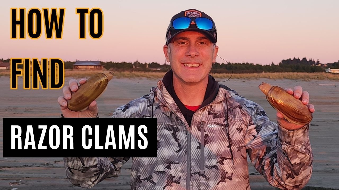 How To Find Razor Clams - YouTube