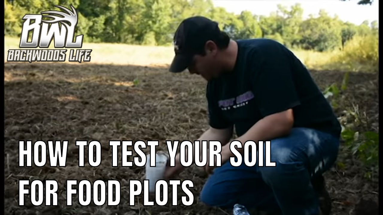 How To Test Your Soil For Great Food Plots - YouTube