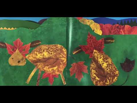 Leaf Man by Lois Ehlert Read-A-Loud - YouTube