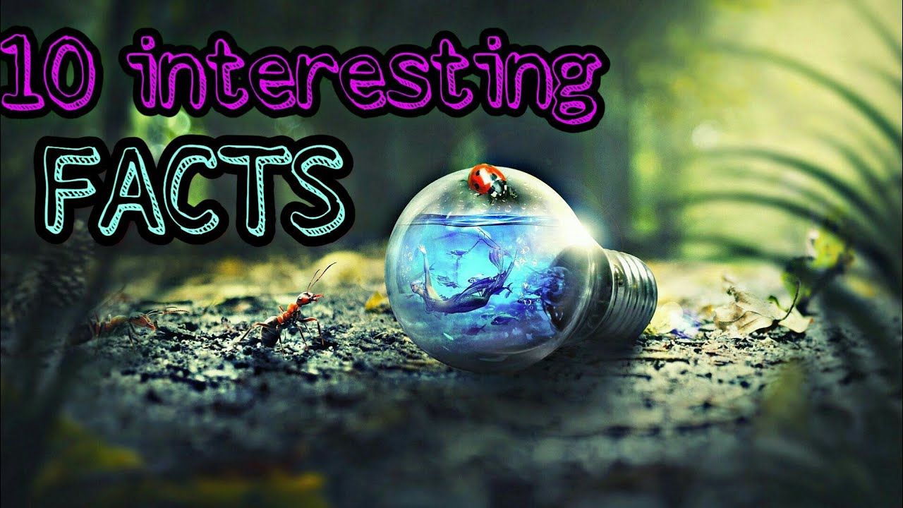 facttecz 10 Interesting Facts Top Enigmatic And Most Amazing Facts In Hindi hindi Facts facttecz-10-interesting-facts-top-enigmatic-and-most-amazing-facts-in-hindi-hindi-facts