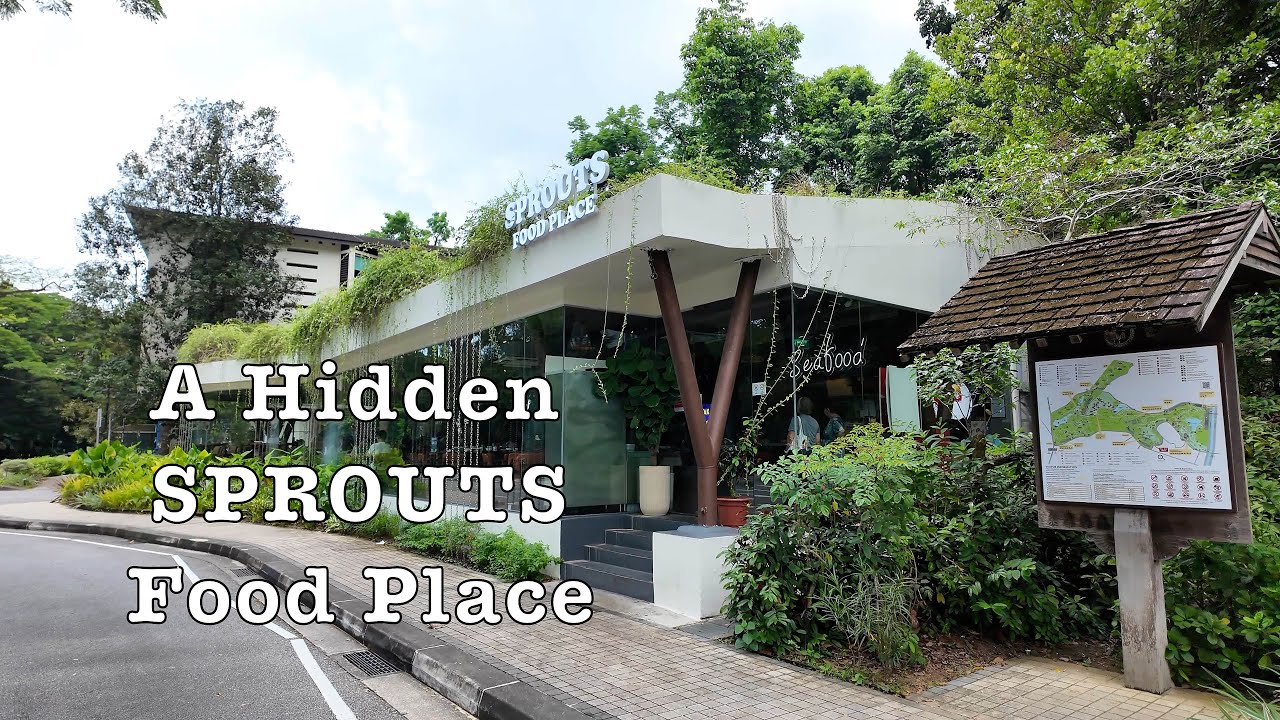 Exploring Evans Road for Sprouts Food Place #singapore #foodcentre # ...