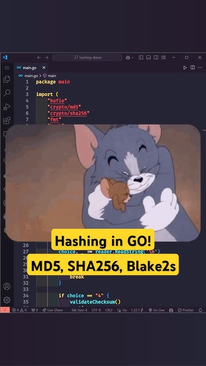 Verify Log Integrity in Go: MD5, SHA-256 & BLAKE2s Hashing! #golang #hashing #security #logs ...