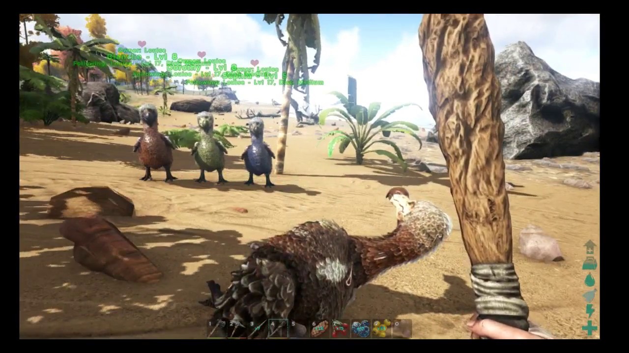 ARK - Golden (Dodo) Girls - YouTube