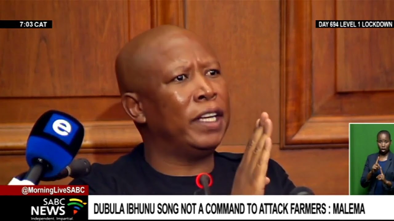 Julius Malema Court Case I African Literature scholar Prof. Elizabeth ...