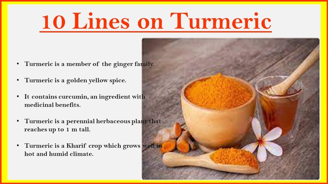 Turmeric essay in 10 lines||10 lines essay on Turmeric. - YouTube