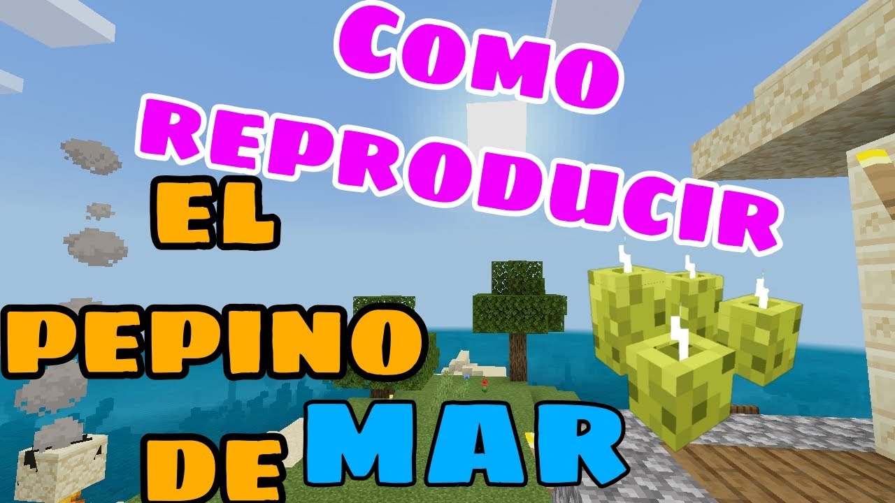 Como reproducir el pepino de mar en Minecraft - YouTube
