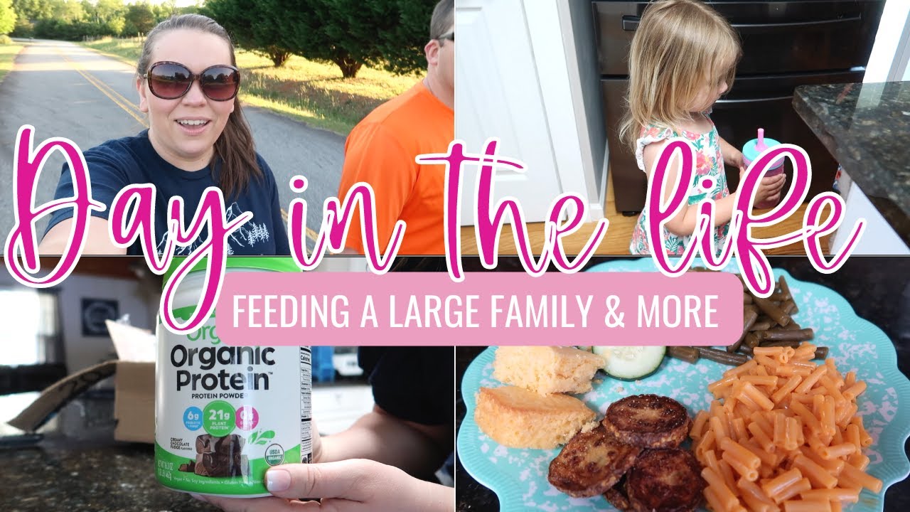 MEATLESS MONDAY FEEDING A LARGE FAMILY DAY IN THE LIFE OF A LARGE meatless-monday-feeding-a-large-family-day-in-the-life-of-a-large