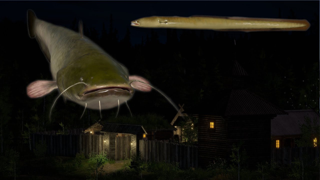 Russian Fishing 4 Old Burg eel catfish burbot RF4 SPOT 91 - YouTube