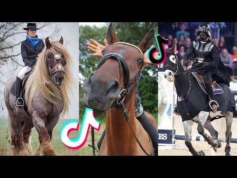 The Best HORSE - TikTok Compilation #50
