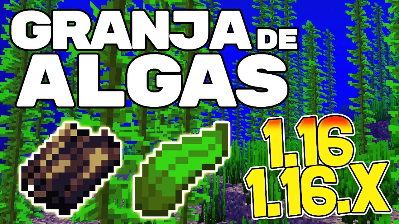 COMO HACER una GRANJA de ALGAS para Minecraft 1.16.5 - Tutorial - YouTube