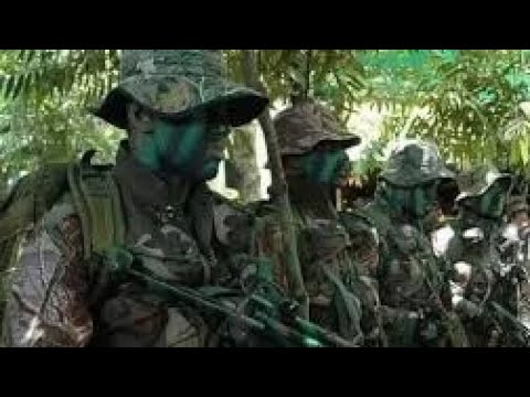 sl army sf training (අපේ sf කොල්ලන්ගේ සුපිරි වැඩ ටිකක් මෙන්න බලන්න ...