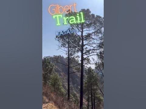 Nature walk at Gilbert Trail, Kasauli - YouTube