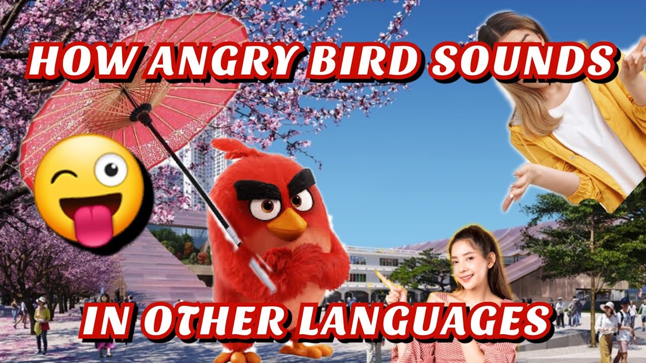 HOW ANGRY BIRD SOUNDS IN OTHER LANGUAGES - YouTube