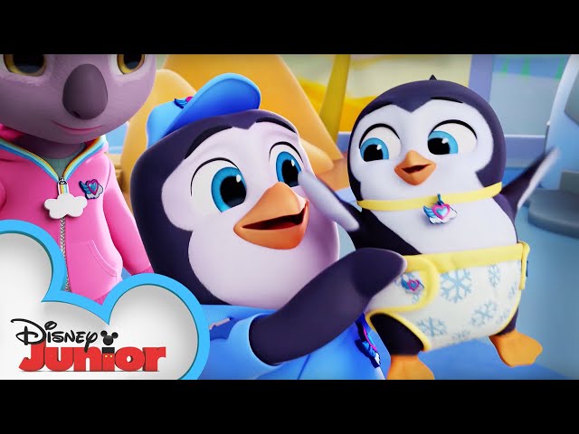 Pinto Penguin Disney Junior Wiki Fandom Powered By Wikia Contemporary