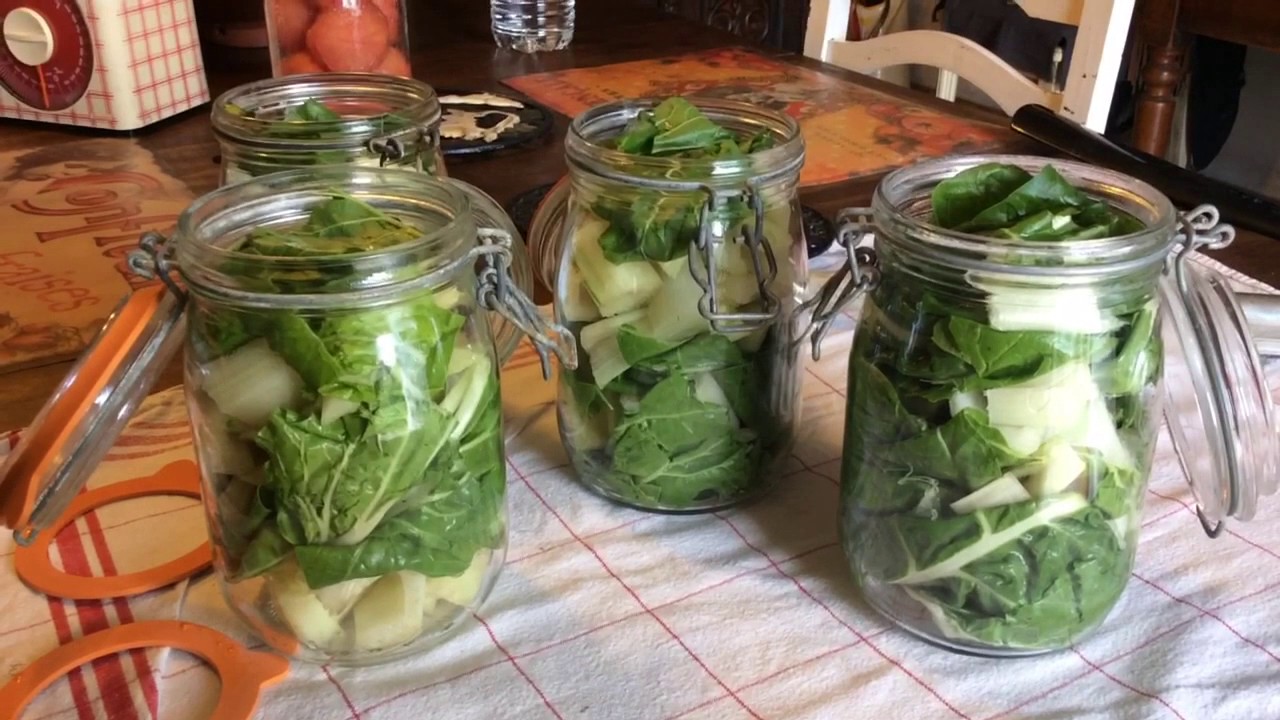 CONSERVES de BLETTES au NATUREL - En direct du potager - - YouTube
