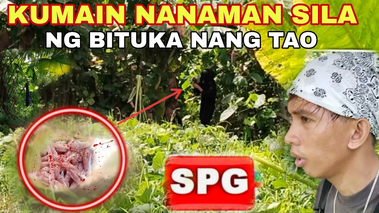 KUMAIN NANAMAN SILA NG BITUKA NG TAO #manananggal #kritikal #spg #viral ...