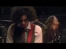 Albert Hammond Jr. - In Transit