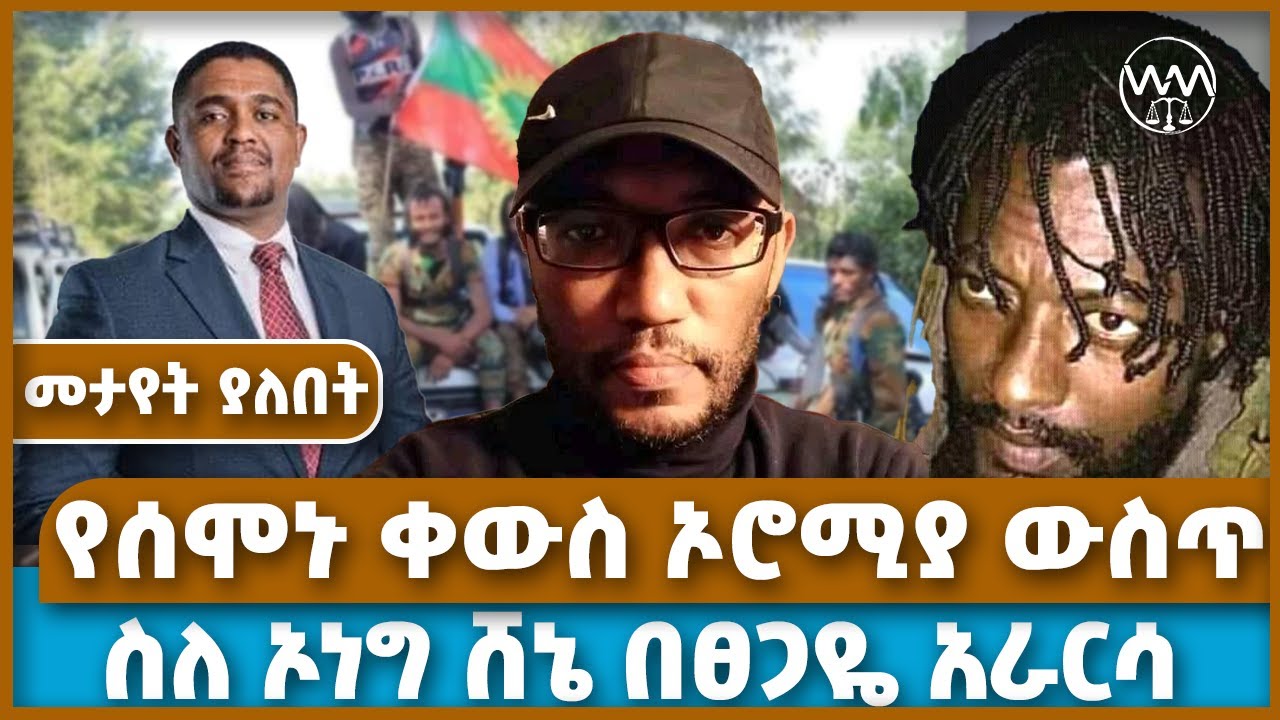 የሰሞኑ ቀውስ ኦሮሚያ ውስጥ | ስለ ኦነግ ሸኔ በፀጋዬ አራርሳ | Tsegaye Araresa | Oneg Shene ...