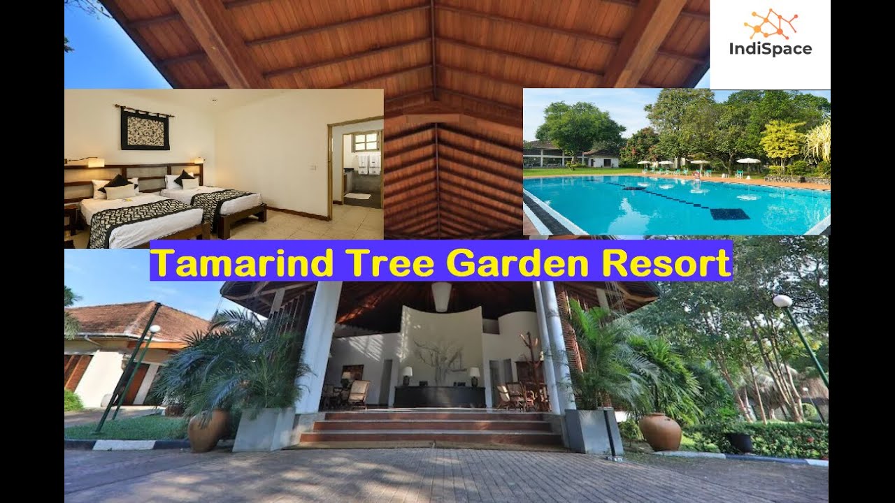 Tamarind Tree Garden Resort - Sri Lanka - YouTube