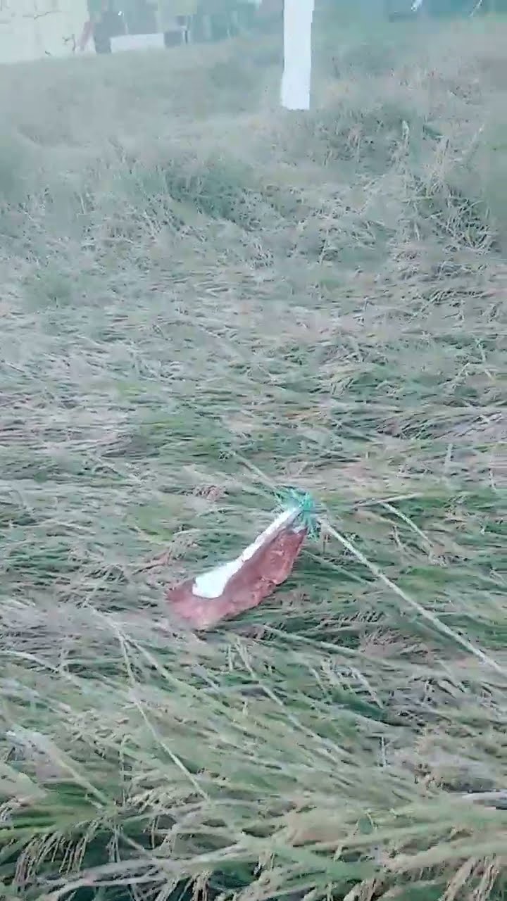 15 April 2024 - YouTube