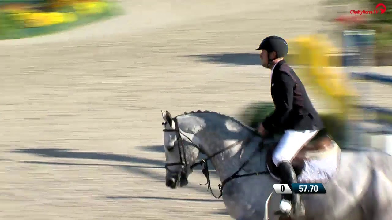 Chaiton F Z ( Clinton x Heartbreaker ) approved stallion - YouTube