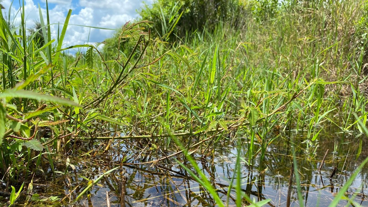 [Introductory] Post-Monetary Economics ♦ Part 2 ♦ The Unviability of ...