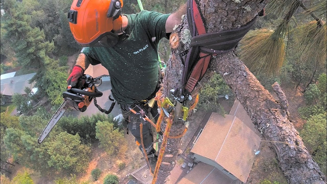 Arborist Speed Lining Principles Part 2 - YouTube