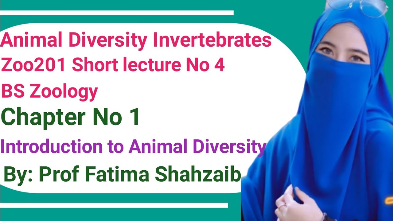 Animal Diversity Invertebrates| Introduction to Animal Diversity|Zoo512 ...
