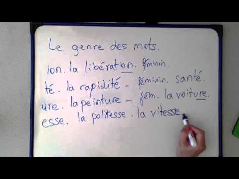 Fransızca Dersler - Kelimelerin Cinsiyetini Belirleme - 1