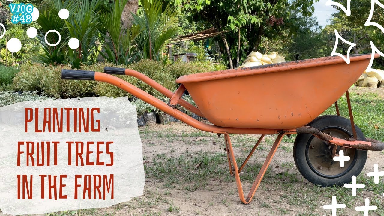 Planting Fruit Trees in the Beach Farm | Northern Samar, Philippines ...