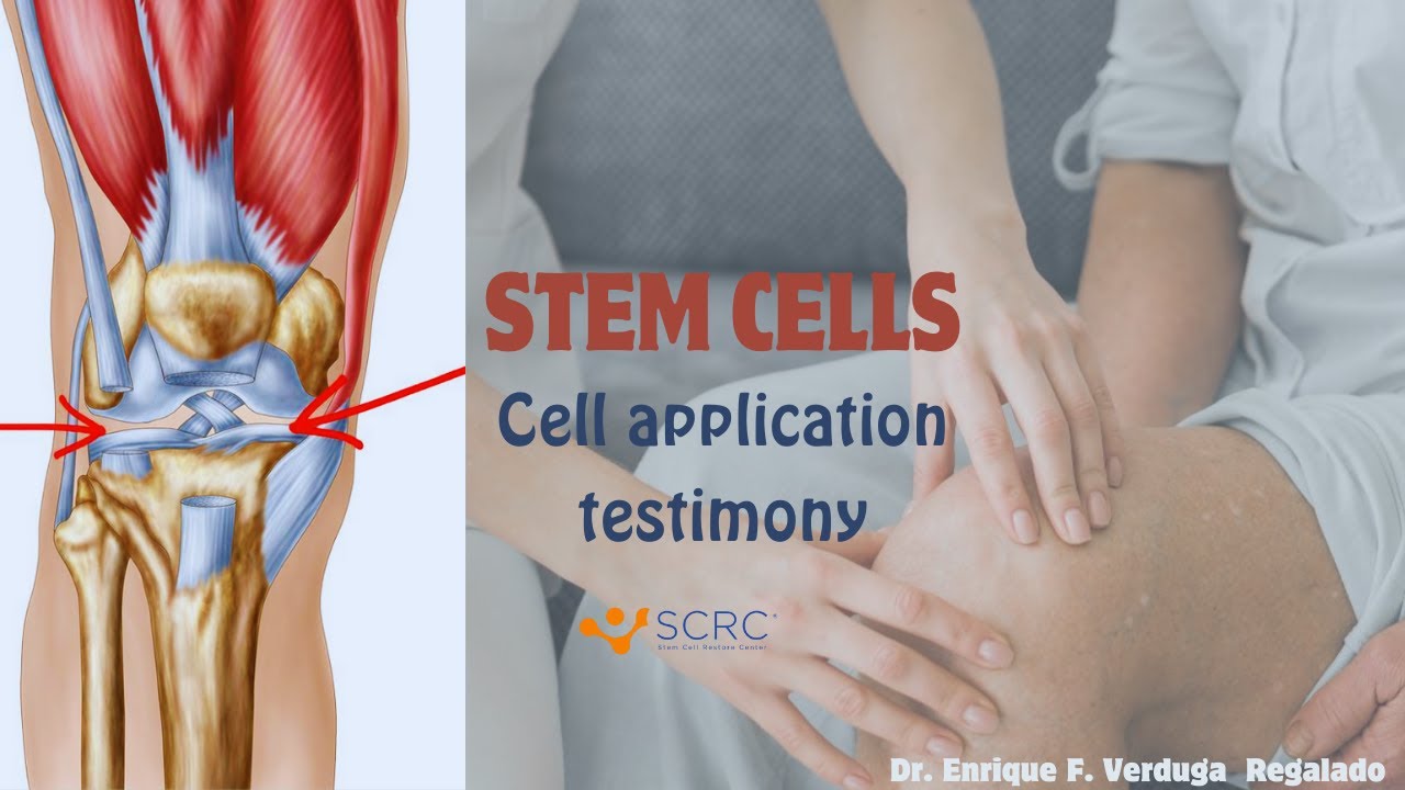 Stem Cells Testimony - YouTube