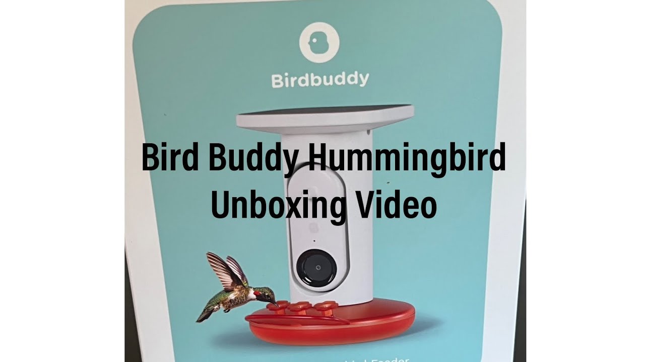 Bird Buddy Smart Hummingbird Feeder Unboxing Video - YouTube