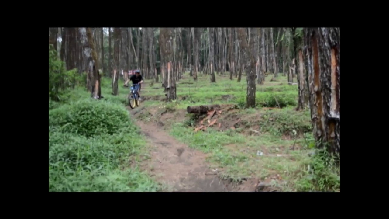 Cilorek garut - YouTube