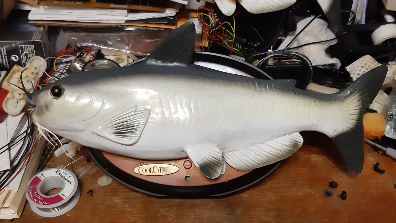 Singing Rapping Cool Catfish (Nameplate) - YouTube