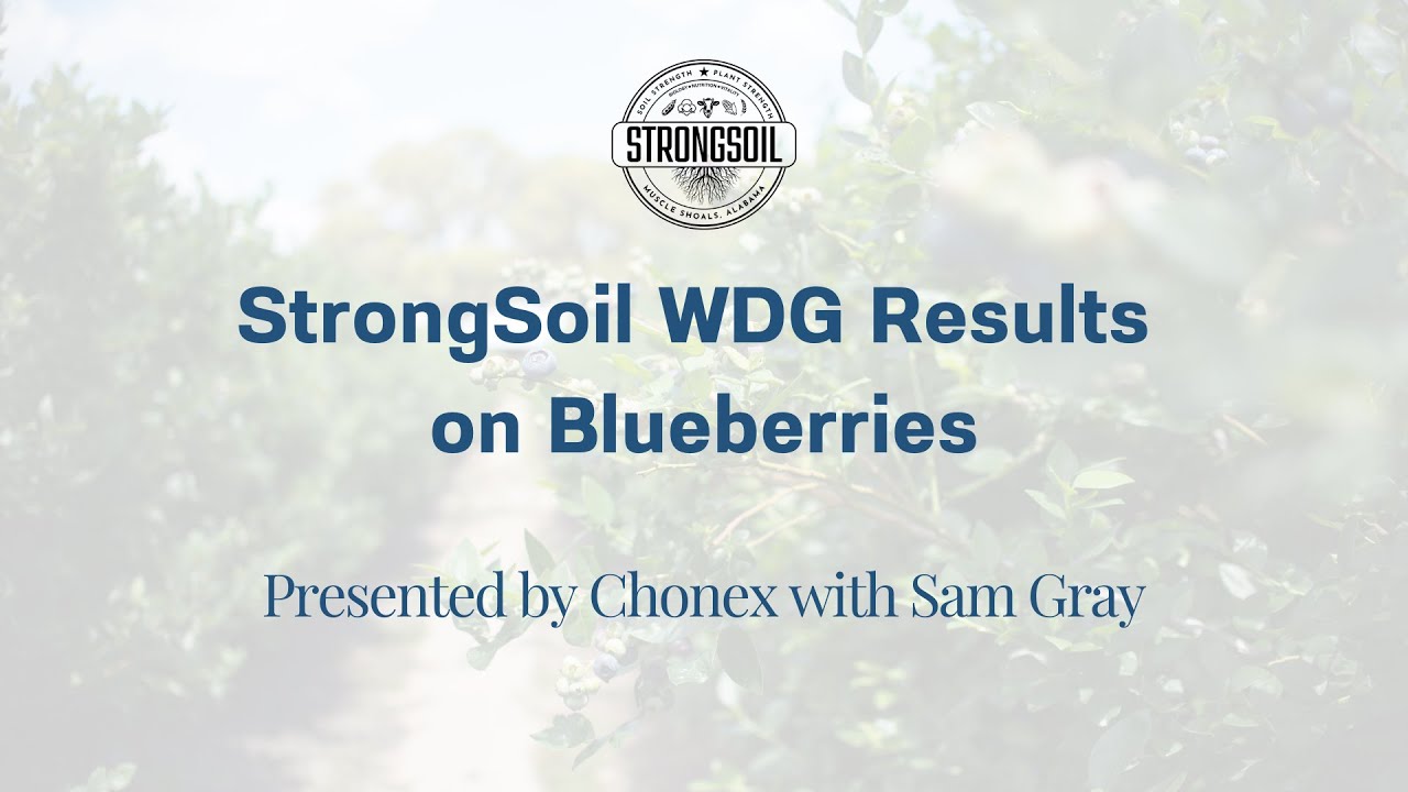 Webinar: StrongSoil Results on Blueberries with Sam Gray - YouTube