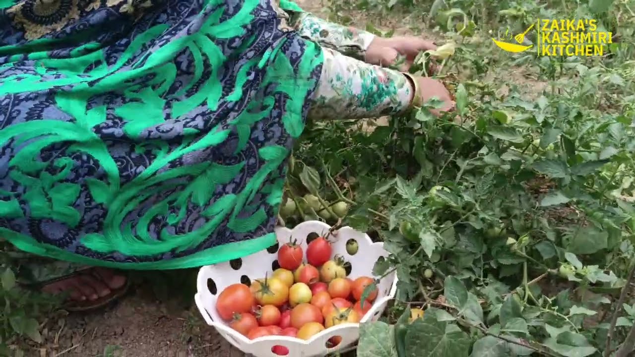 Tamoter ki Chanies recipe./Lunch box recipe - YouTube
