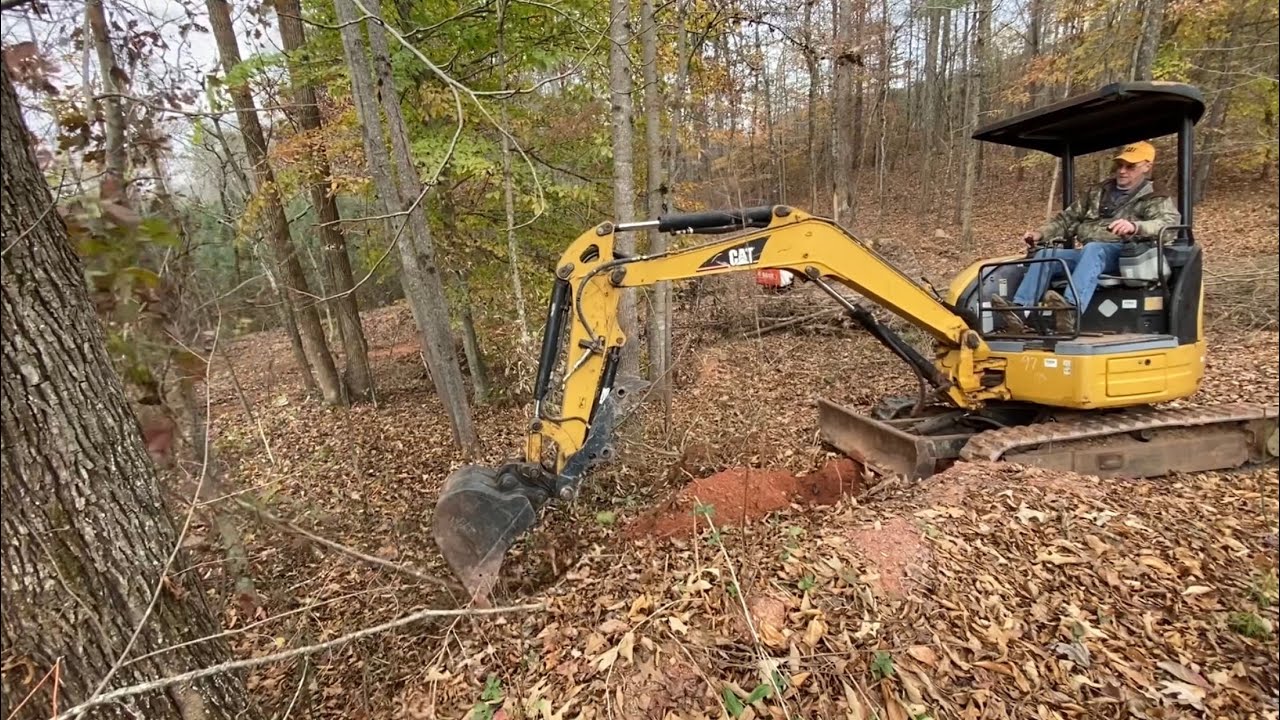 Finishing the Final Clearing of Trees from the Woods. Ep 44 - YouTube