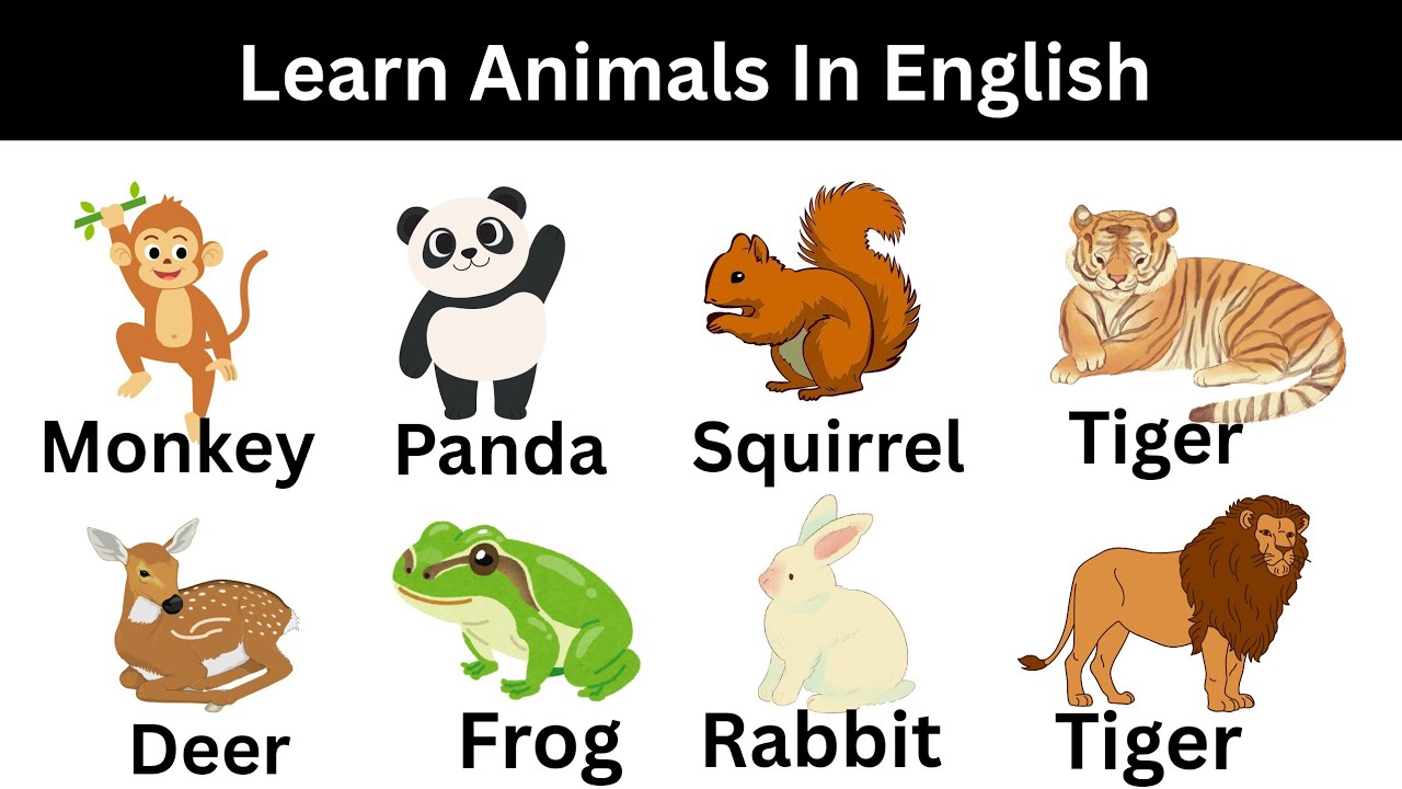 Learning Animals Names For Toddlers l Learn Animals Name In English l ...