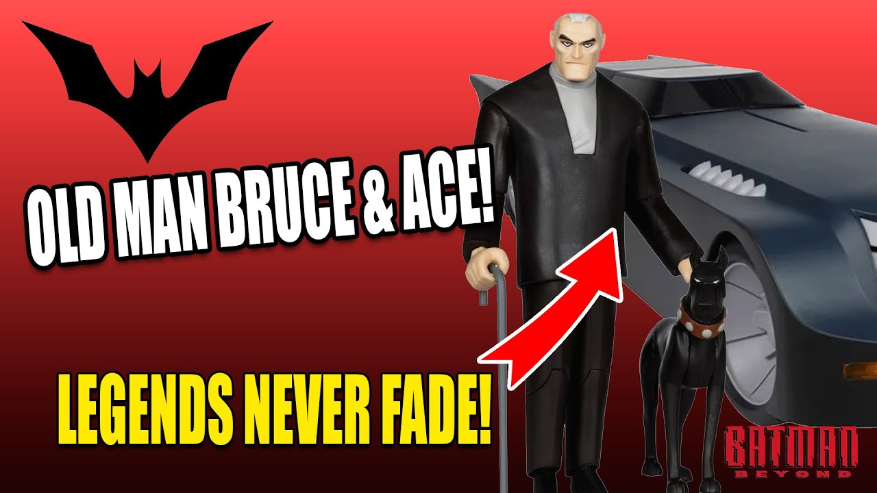 Batman Beyond McFarlane Bruce Wayne & Ace Review: A Legacy Reimagined ...