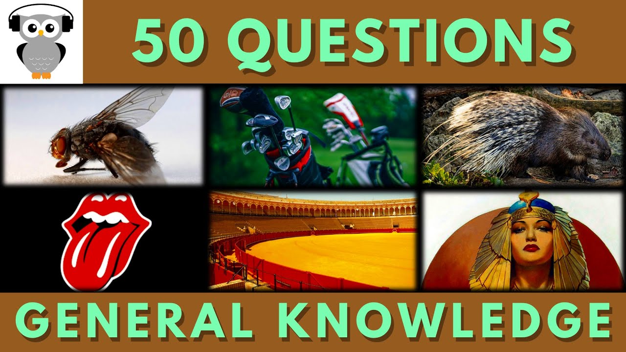 General Knowledge Quiz Trivia 63 Houseflies Golf Clubs Porcupine general-knowledge-quiz-trivia-63-houseflies-golf-clubs-porcupine