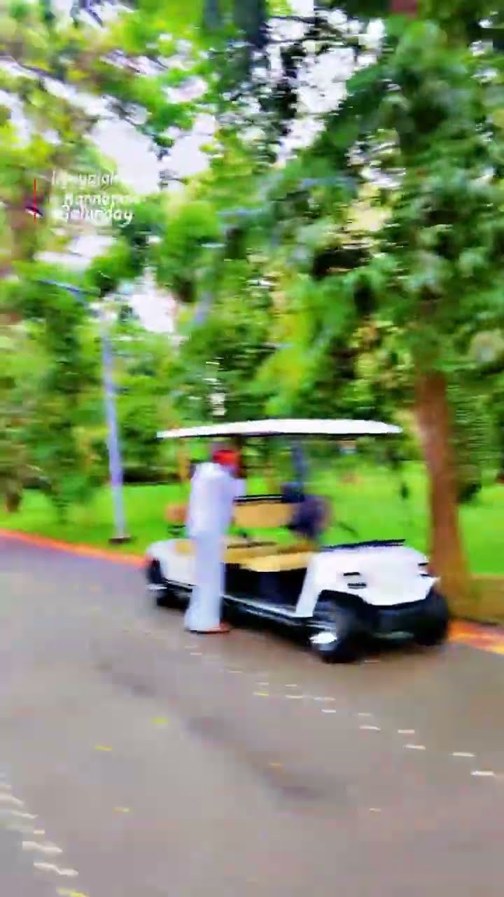 I Love Greenery 💚greenfacebooktrendingshortskadapavijayawadatadepallikluniversity Youtube