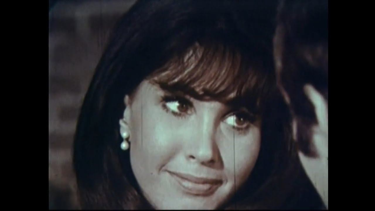 "Two For Penny" Proposed TV Series Starring Donna Loren (1968) RARE ...
