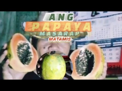 ANG PAPAYA MASARAP MATAMIS - YouTube