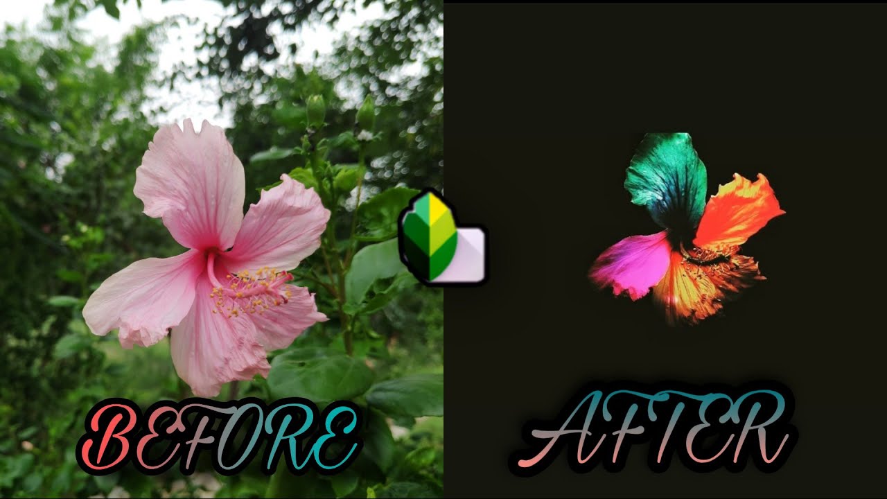 HOW TO COLOURS GRADING IN FLOWERS| 🔥 #SNAPSEED TUTORIAL | INSTAGRAM ...