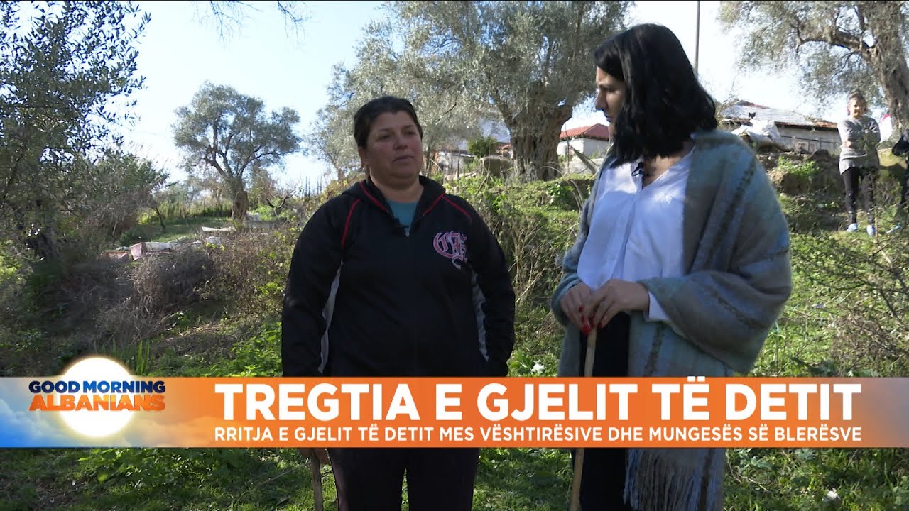 Festat e fundvitit - Tregtia e gjelit të detit - YouTube