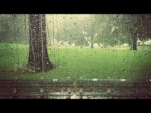 Relaxing nature and rain sounds - YouTube